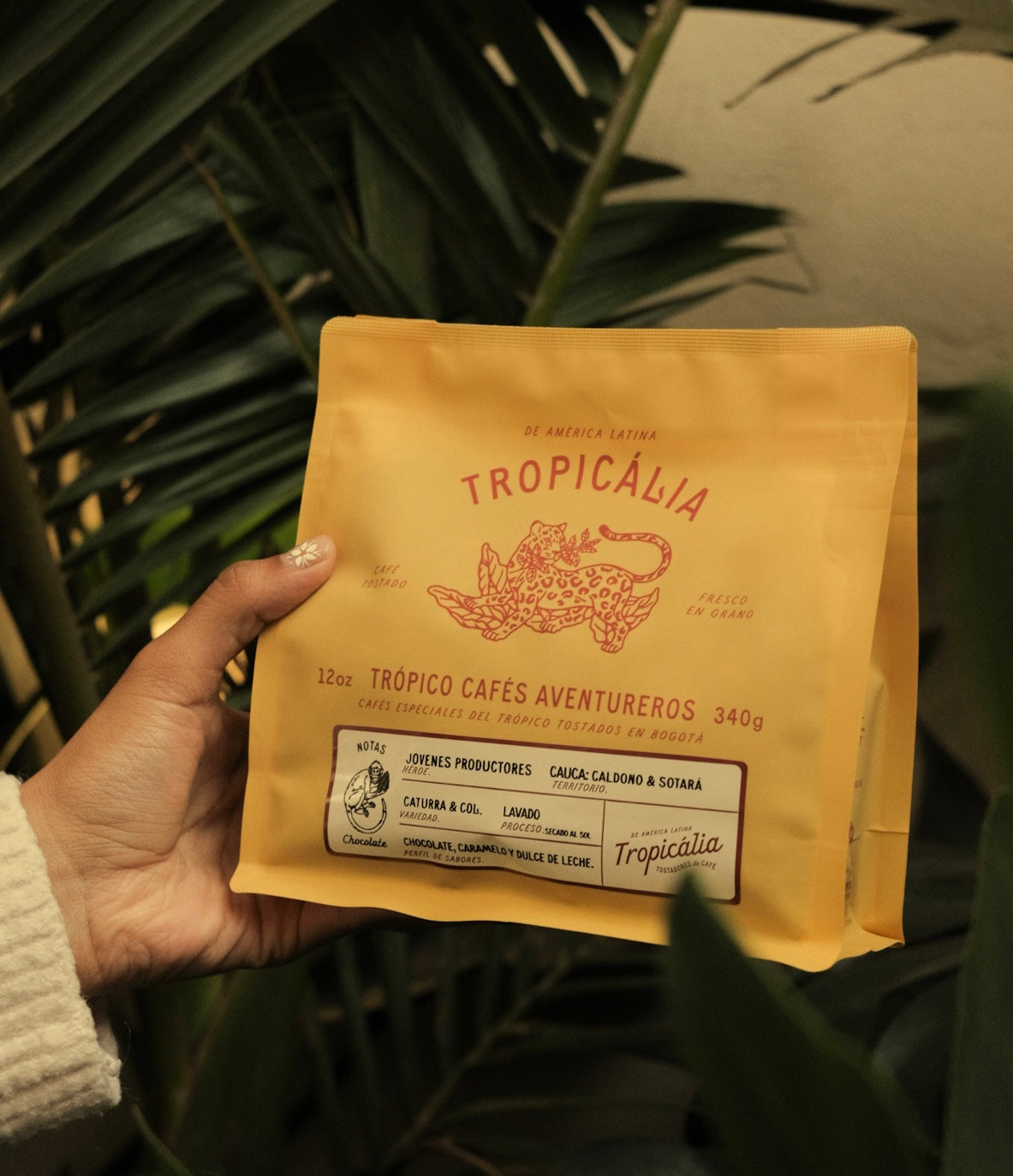 Productos – Tropicalia Coffee