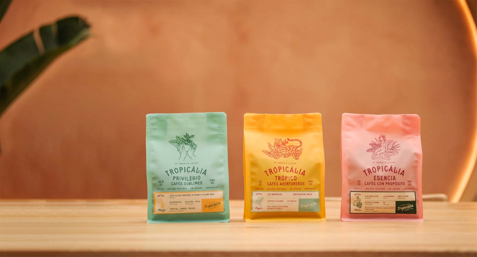 Tropicalia | Bienvenido al Trópico – Tropicalia Coffee